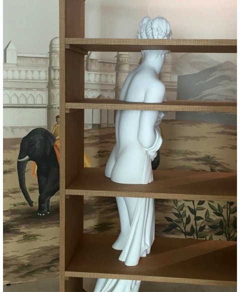 Buy Venus Bookcase Driade online - Free Standing Bookcase - Lomuarredi